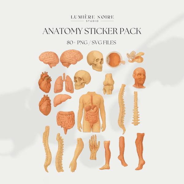 80+ Anatomy Stickers – Human Body Illustrations | SVG + PNG | Transpar ...